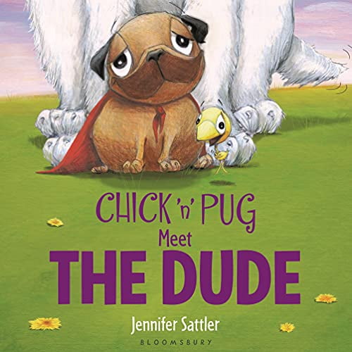 Pre-Owned Chick 'n' Pug Meet the Dude (Board book) 1619634023 ...