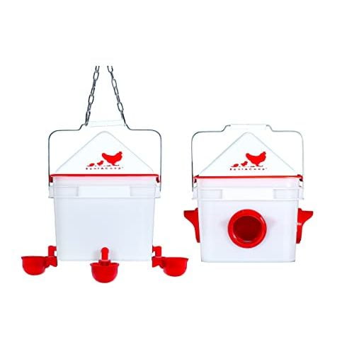 Chick2Chicken 10lb Chicken Feeder and 2 Gal Waterer - 2025 Version ...