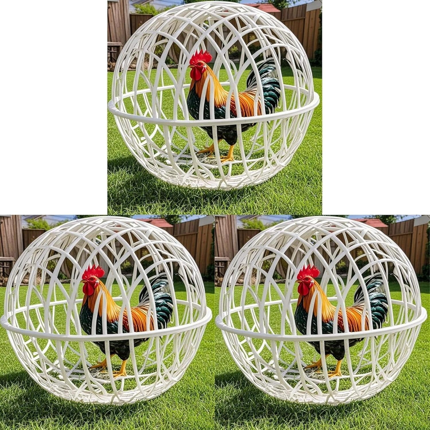 Chicken Balls Cage for Outside Outdoor Rollable Round Chicken Cage ...
