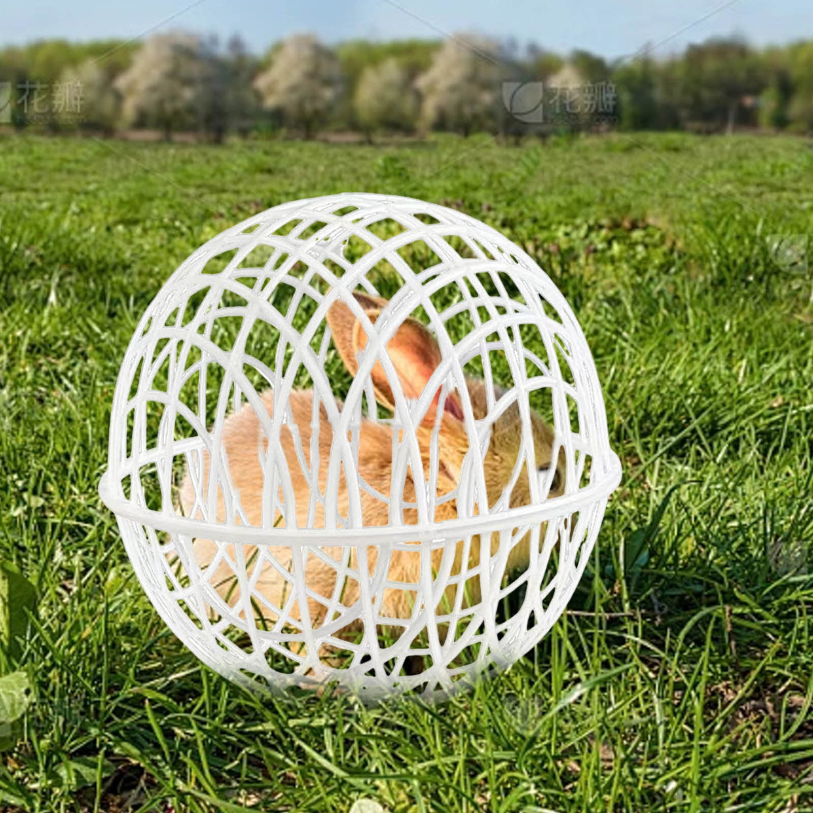 Chicken Balls Cage for Outside, Ball-Shaped Outdoor Pet Cage, Walking ...