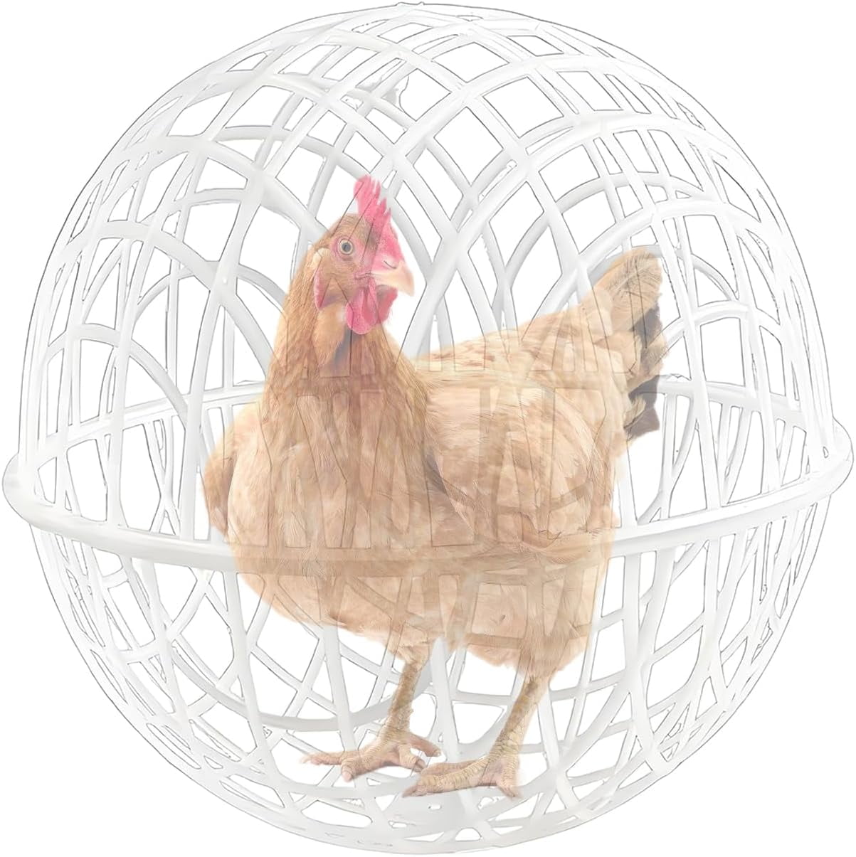 Chicken Balls,Movable Chicken Coop Ball - Movable Walking Net Poultry ...