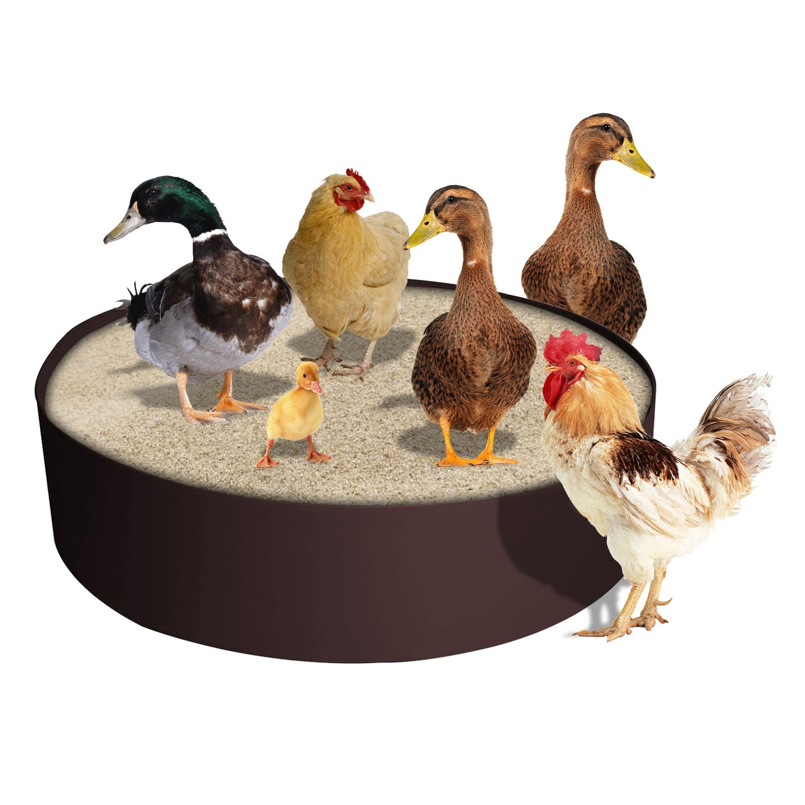 Chicken Bath Bottomless Design Chicken Bath Container Suitable For Chicken Coop Baths In Farms