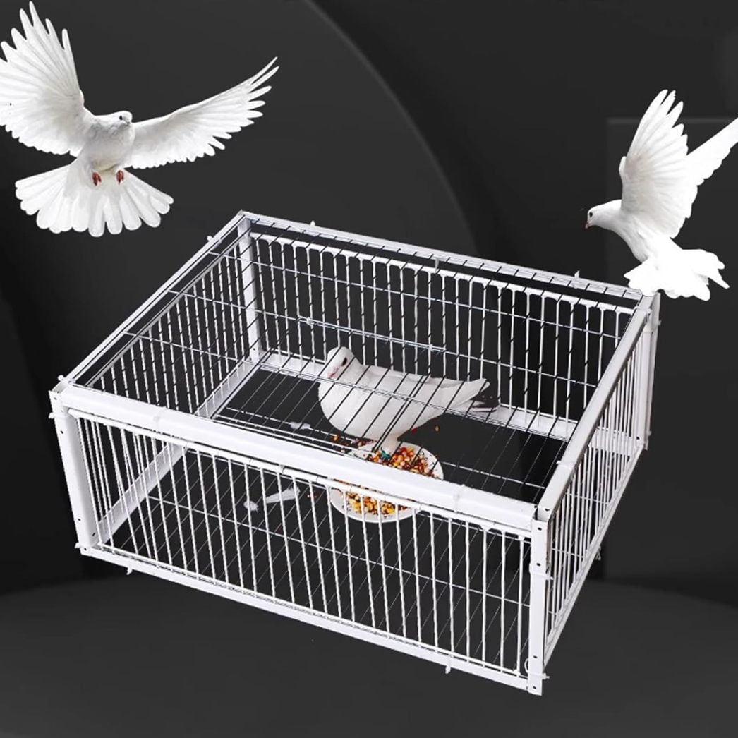 Chicken and Bird Trap Cage, Humane Live Animal Trap Cage with One-Way ...
