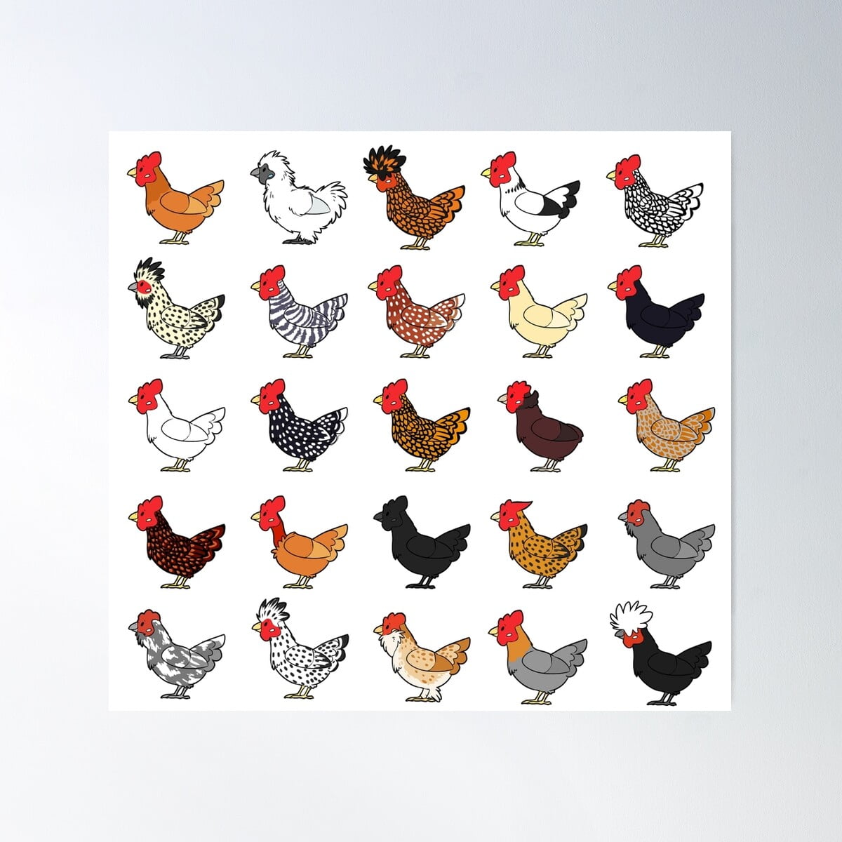 Chicken Breeds (Captionless) Poster Wall Art, Modern Wall Decor For Living Room Bedroom, 30x30 ...