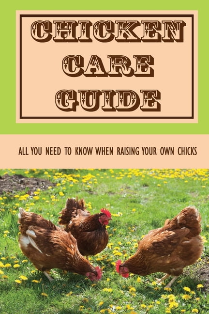 Chicken Care Guide : All You Need To Know When Raising Your Own Chicks ...