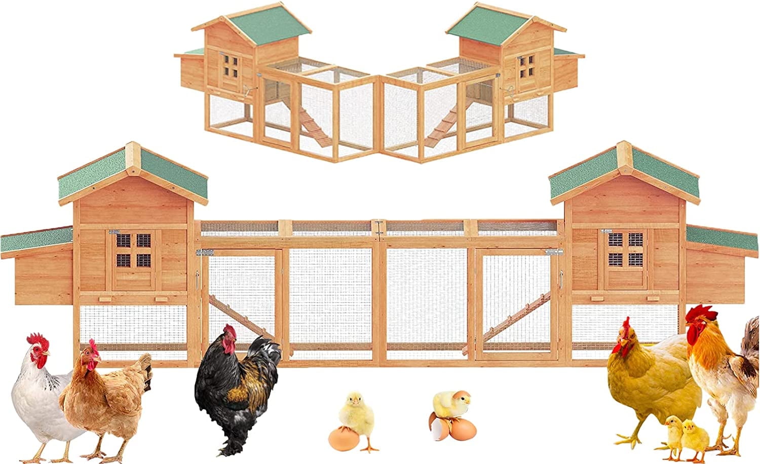 Large, Predator-Proof Chicken Coop for 8 Chickens with Metal Windows ...