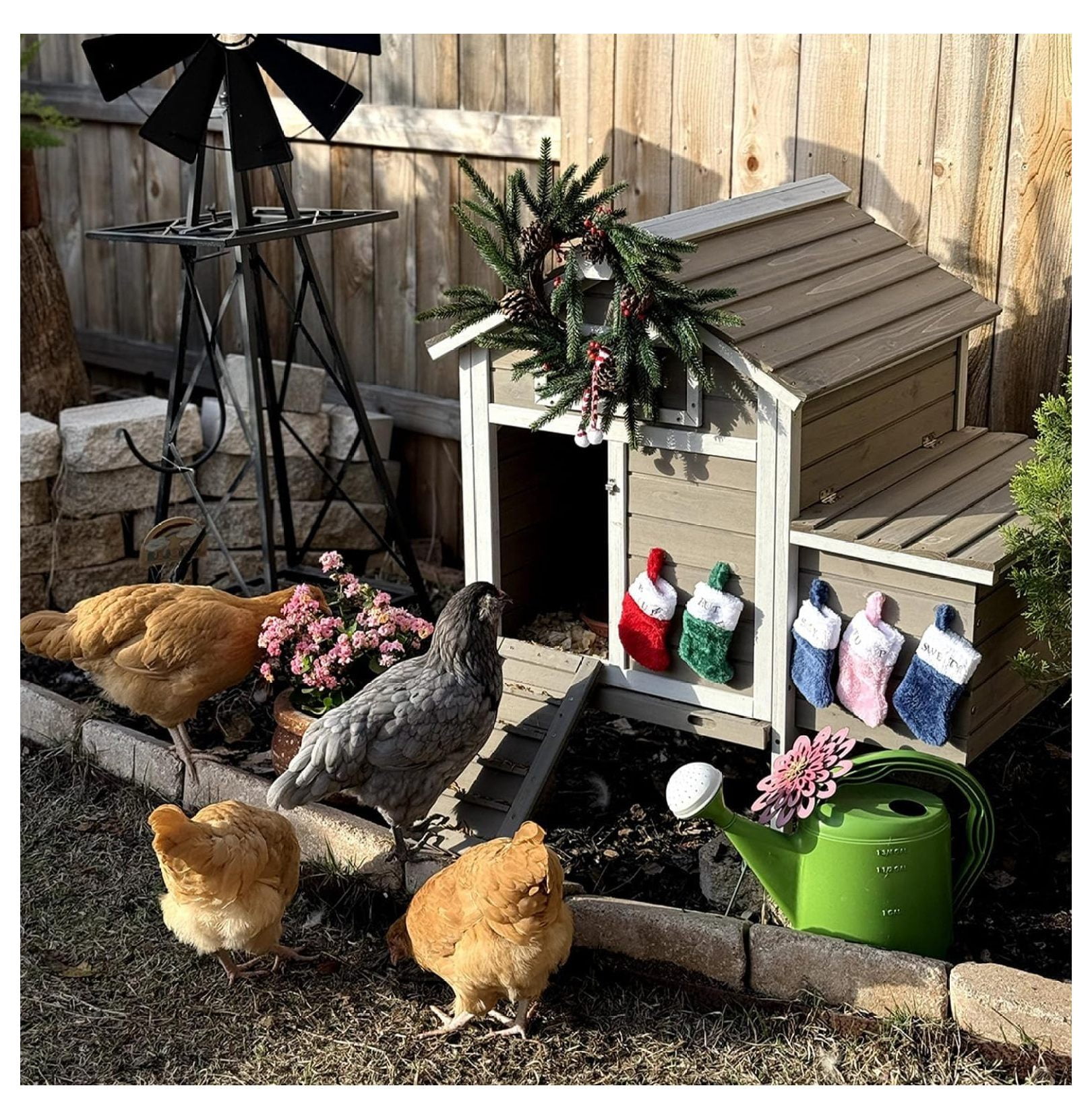 Chicken Coop Chicken House Outdoor with Removable Trays, Wooden Rabbit ...