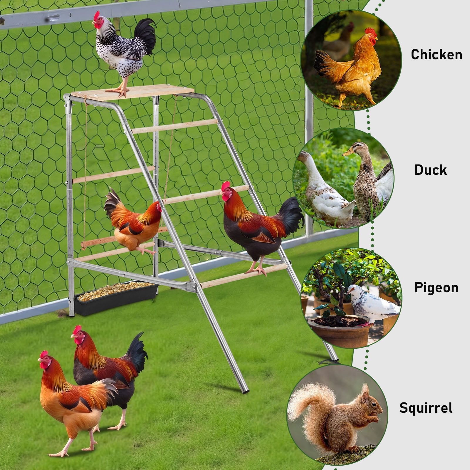 Chicken Coop, Chicken Perches with Swing, Chicken Roosting Bars ...