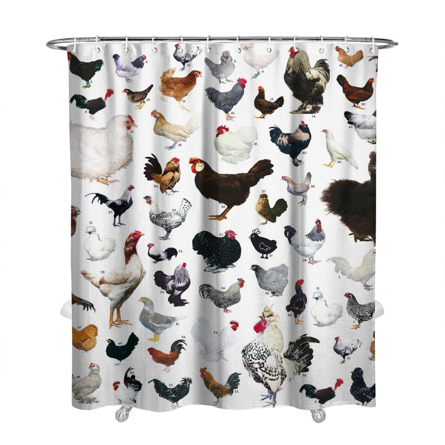 Chicken Coop & Eggs Shower Curtain 72" x 84" - Rustic Farmhouse ...