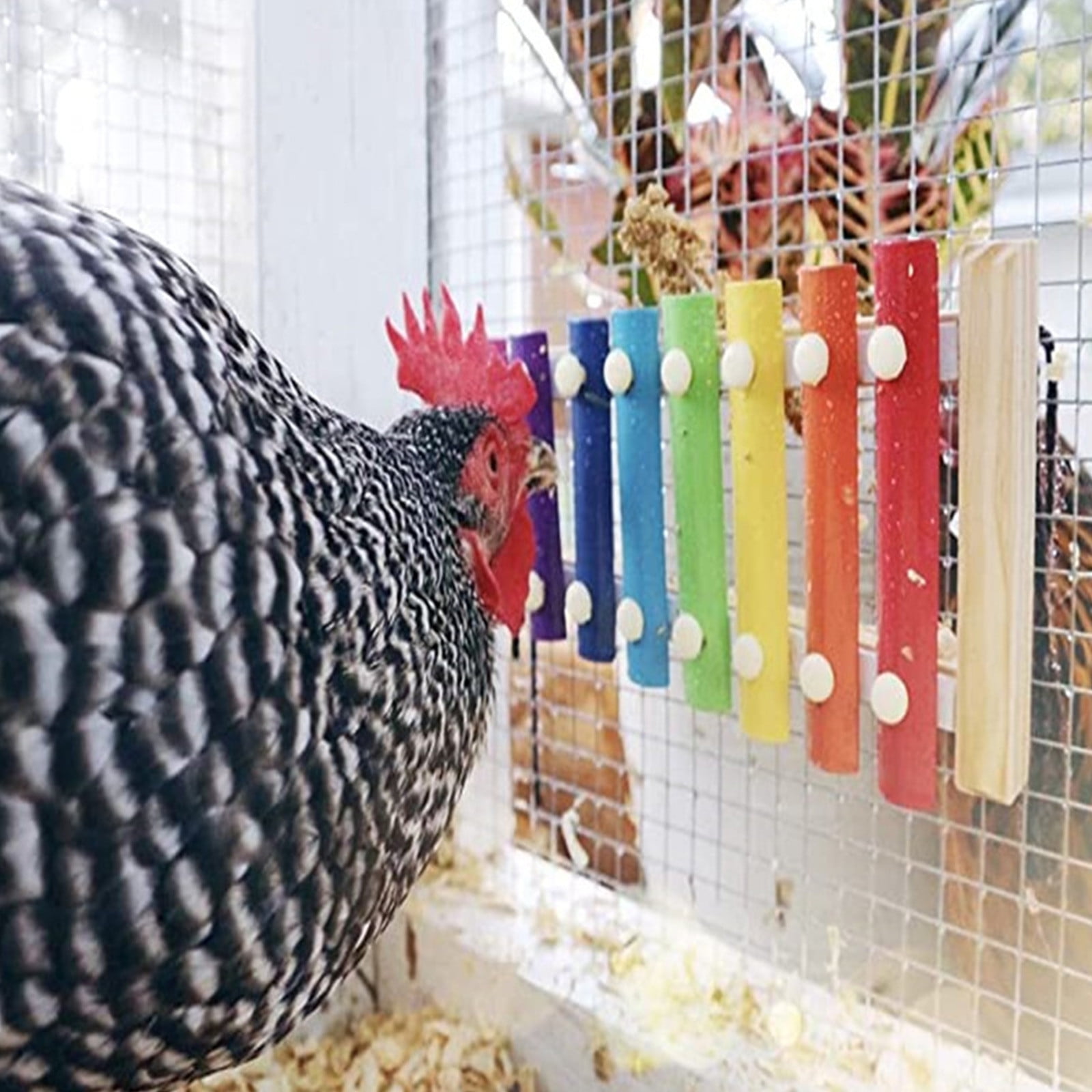 Chicken Coop Harp Xylophone Toy, Wooden Hen Xylophone With Metal Keys ...