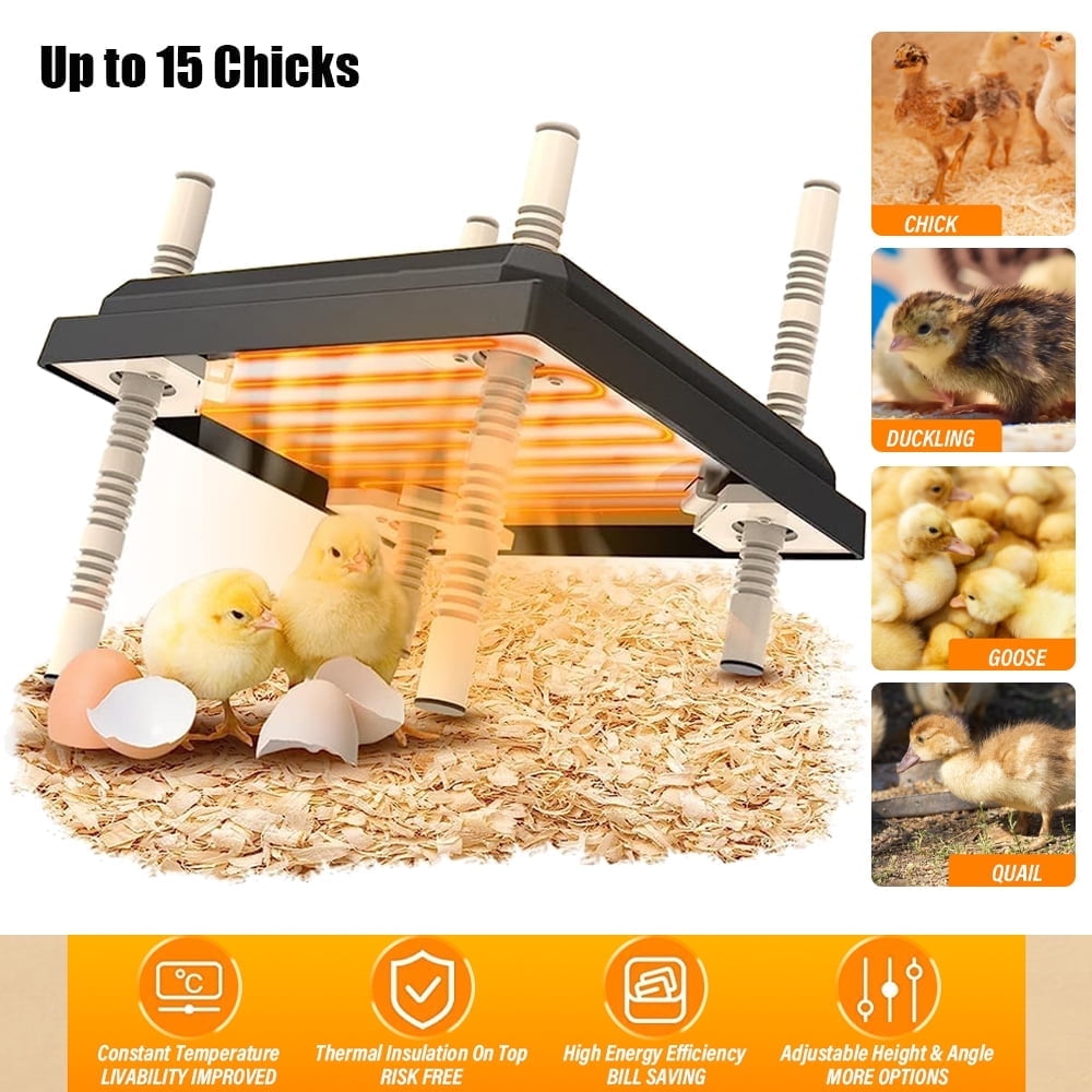 Adjustable Chicken Coop Heater, Brooder for 15 Chicks, Energy-Saving ...
