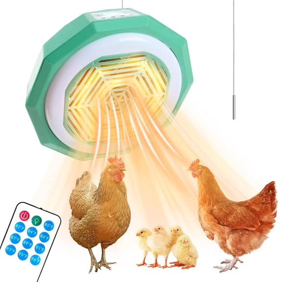 Qonioi Poultry Water Heater, Constant Temperature Winter Bird Water ...