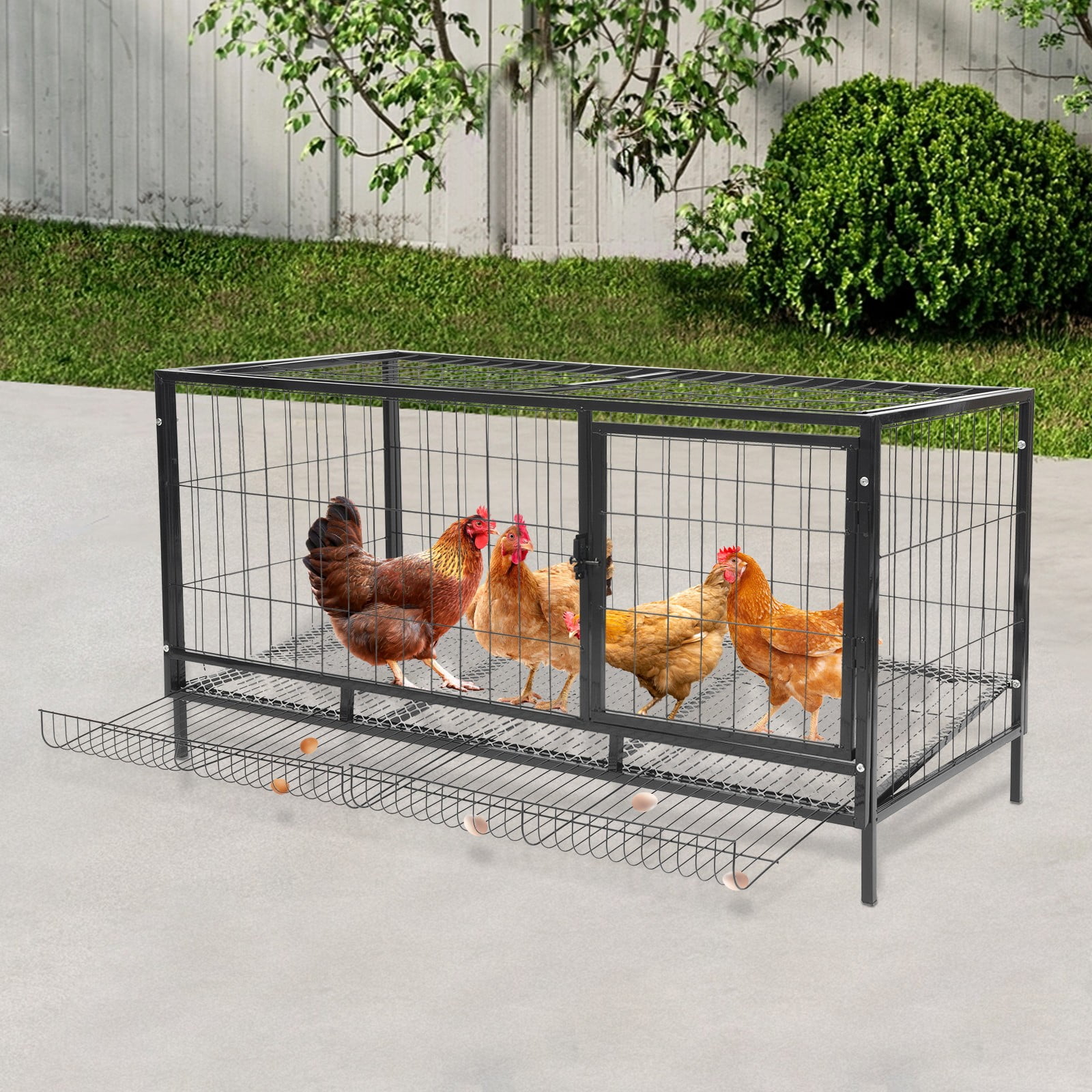 Chicken Coop Iron Large Durable Chicken Enclosure With Automatic Egg ...