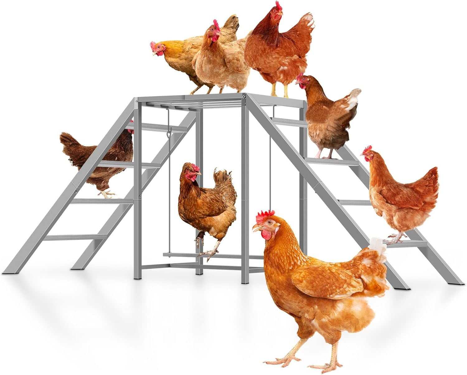 Chicken Coop Perches with Swing, Chicken Roosting Bars, Chicken Run ...