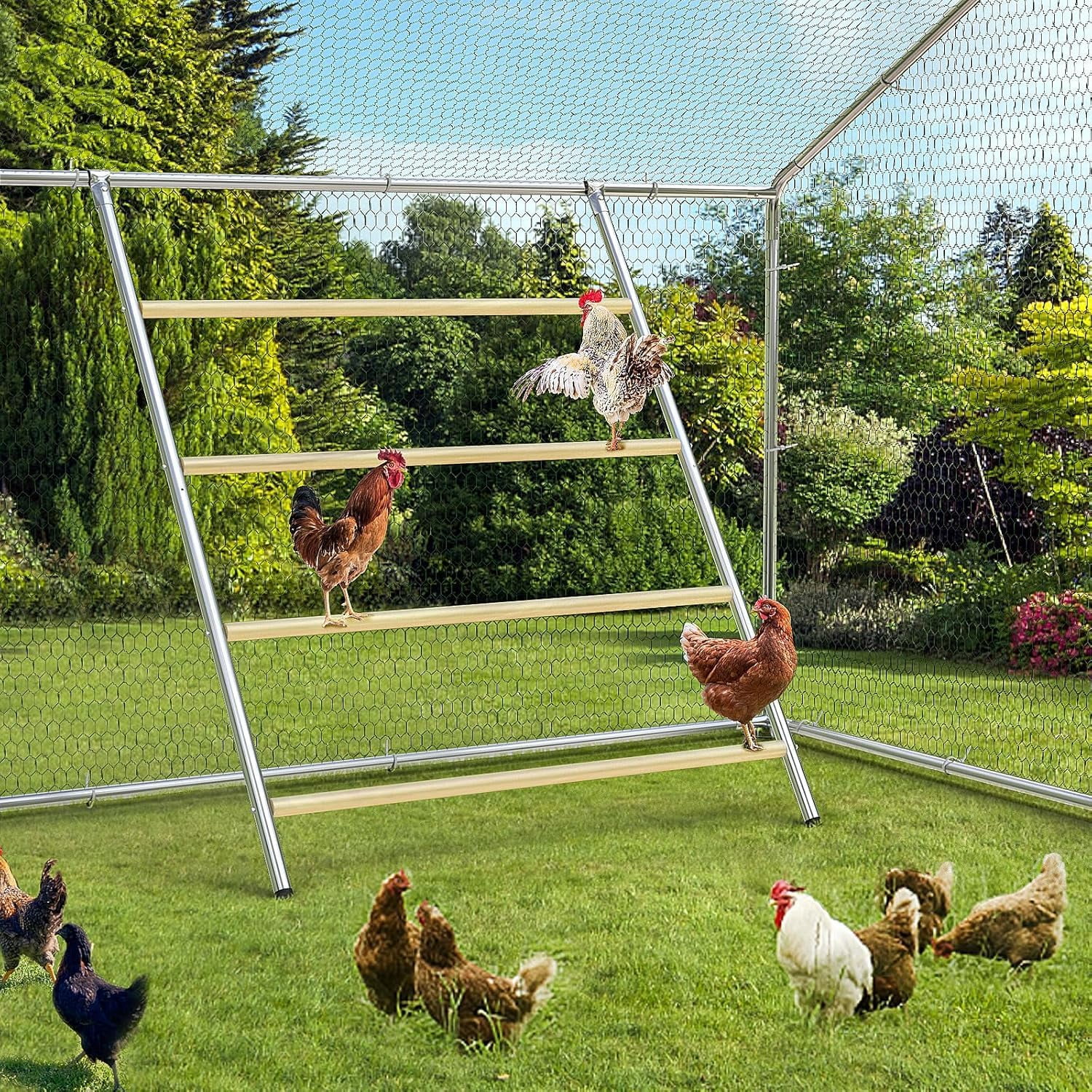 Chicken Coop Roosting Perch, Chicken Coop Roosting Ladder Farm Chicken ...