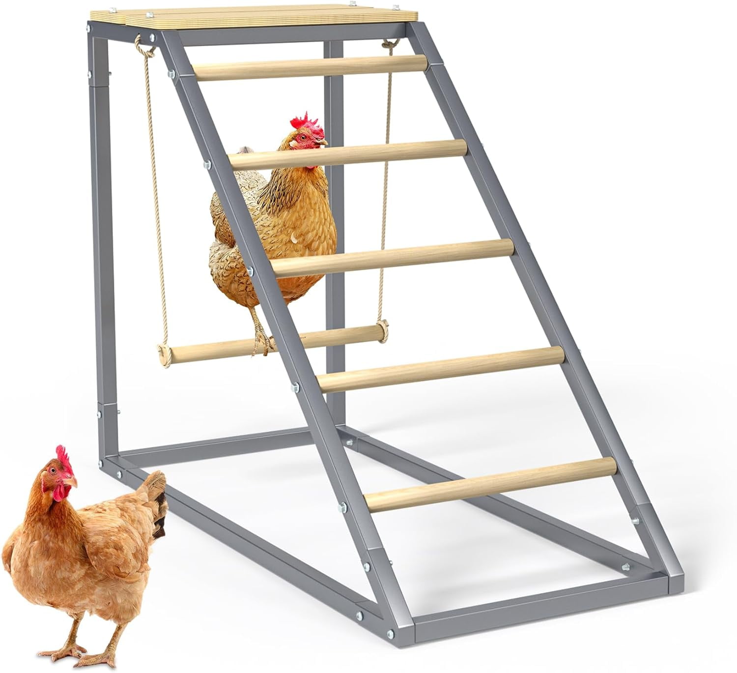 Chicken Coop Roosting Perch Essentials：Perfect for Backyard Poultry ...
