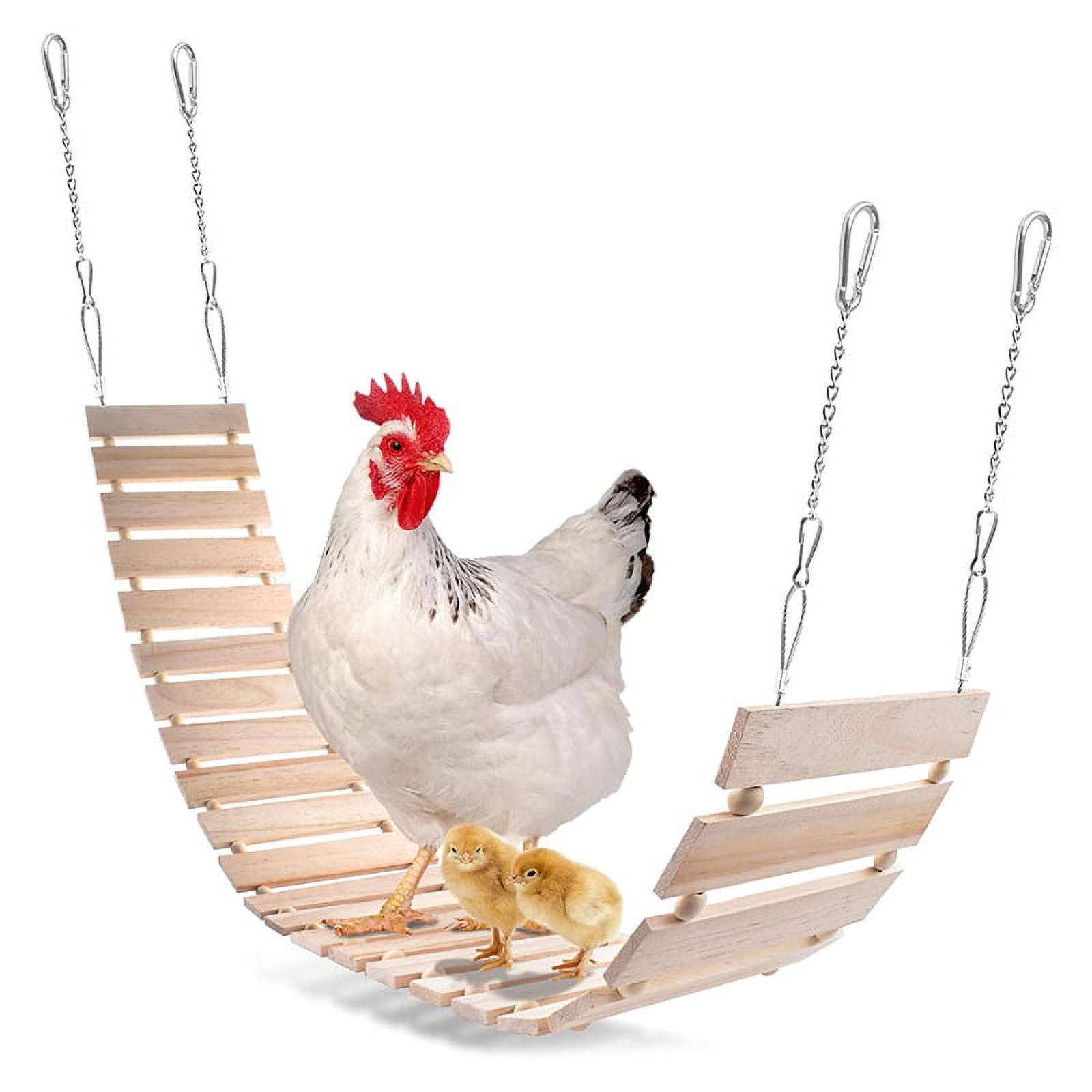 Chicken Coop Toy Chicken Swing Toys for Hens Natural Wood Chicken ...