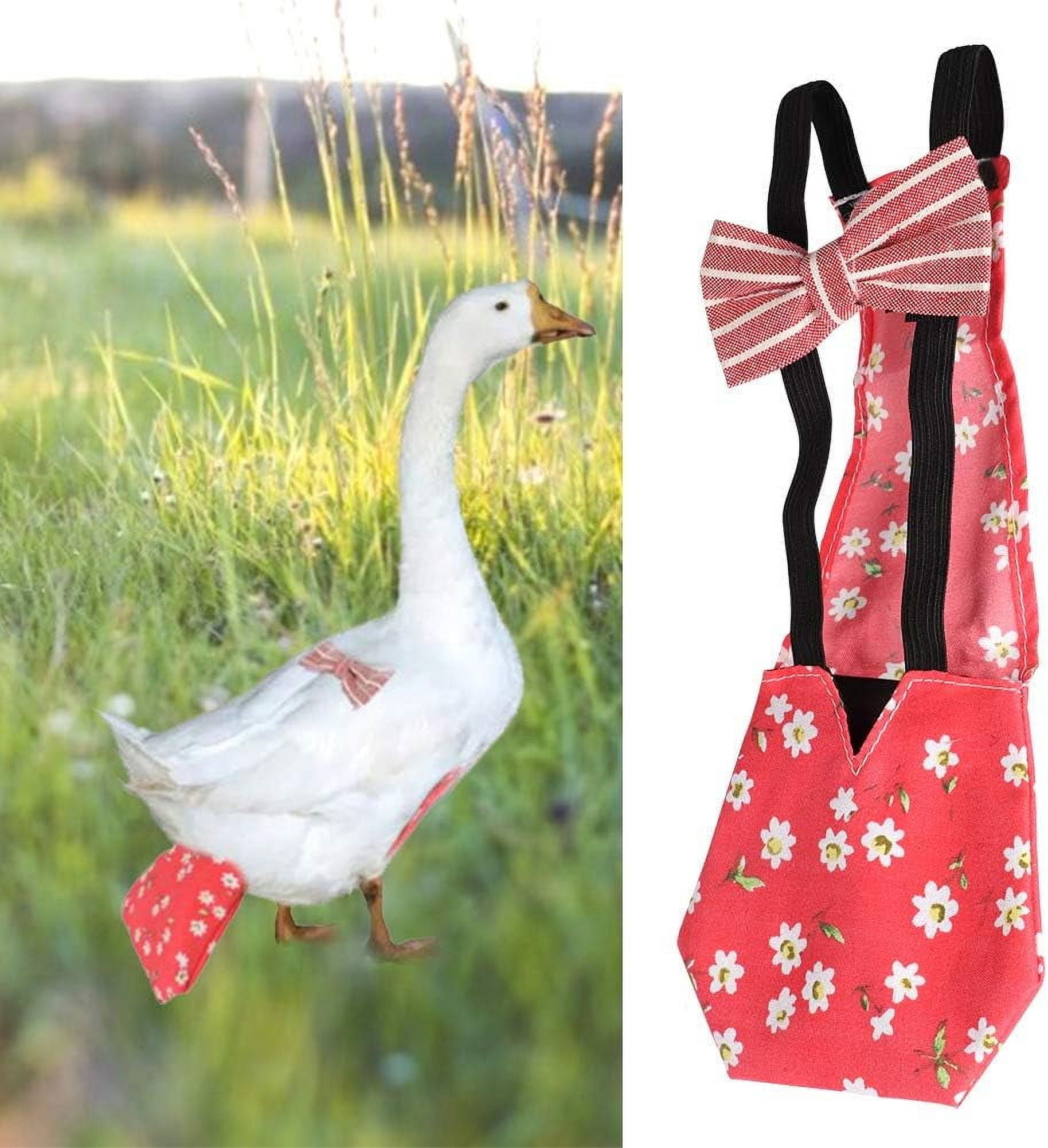 Chicken Diaper Adjustable Pet Diaper Poultry Cloth Pet Diaper Goose ...