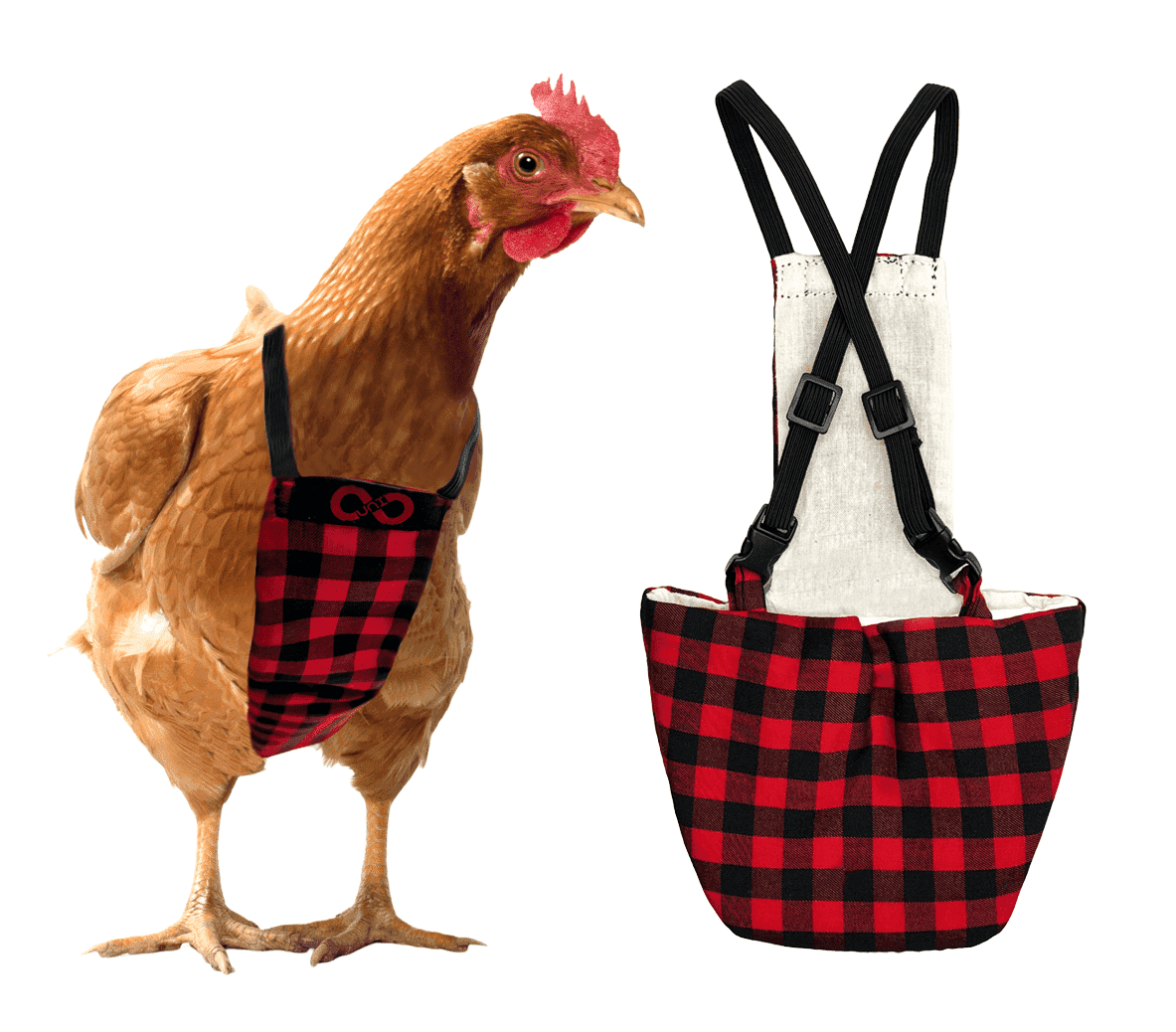 Chicken Diapers for Roosters, Hens (Size L)- Reusable, Adjustable by ...