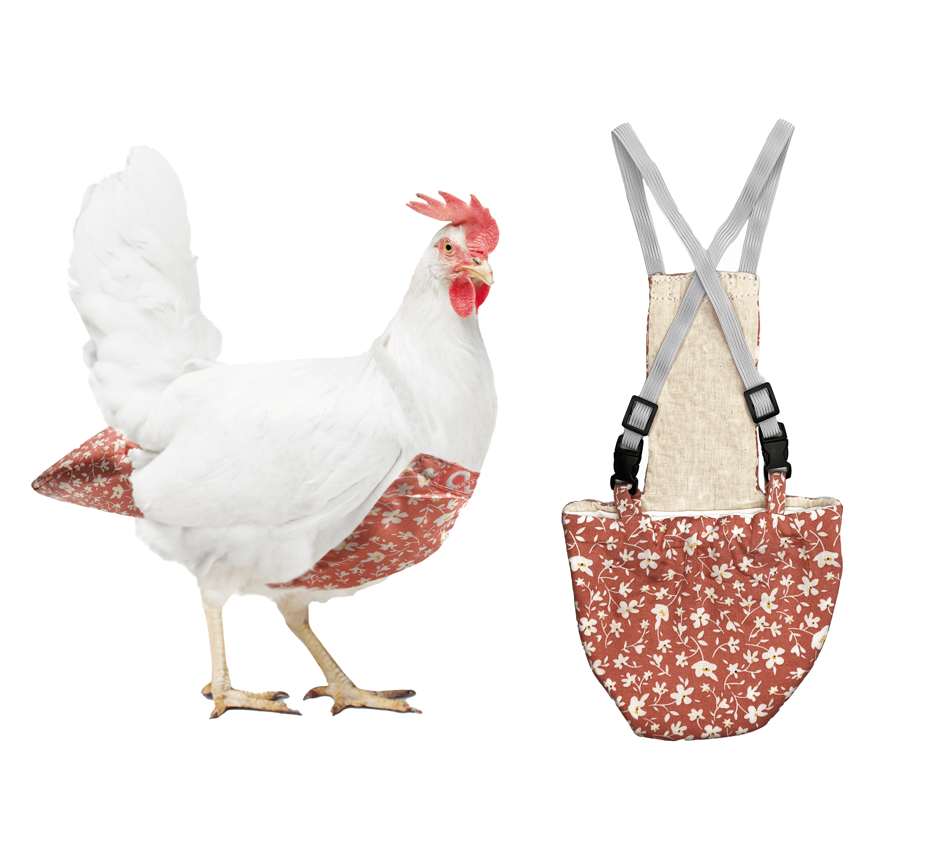Chicken Diapers for Hens, Rooster - Reusable, Adjustable by Uni ...