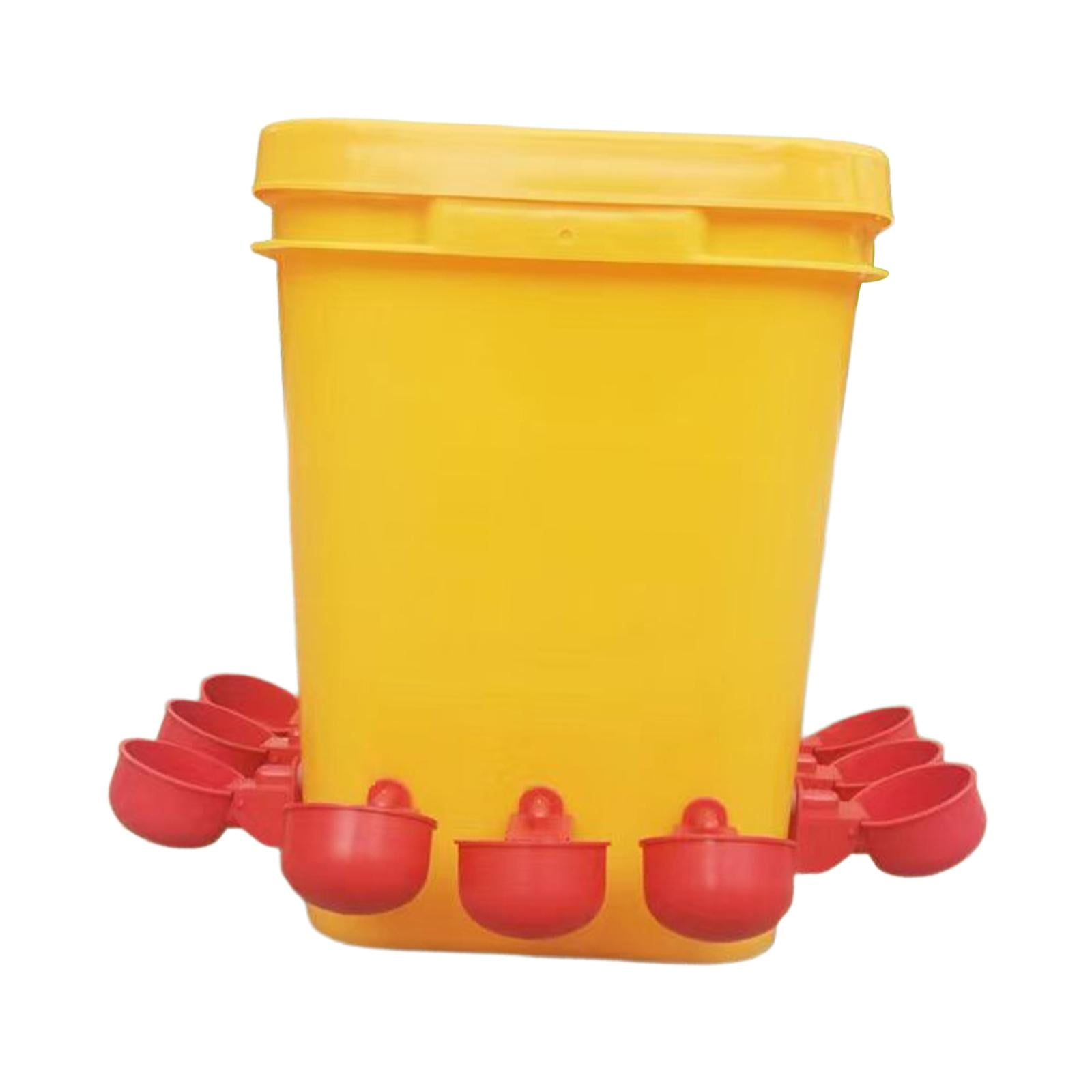 Automatic Chicken Drinker Waterer Cup with Feeder, Poultry Drinking ...