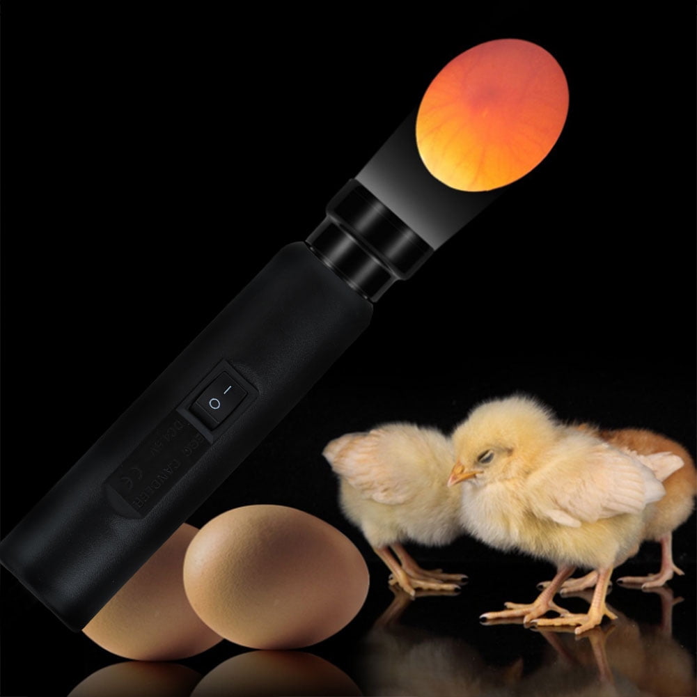 Chicken Egg Monitoring Tester LED Incubator Light Candling Lamp ...