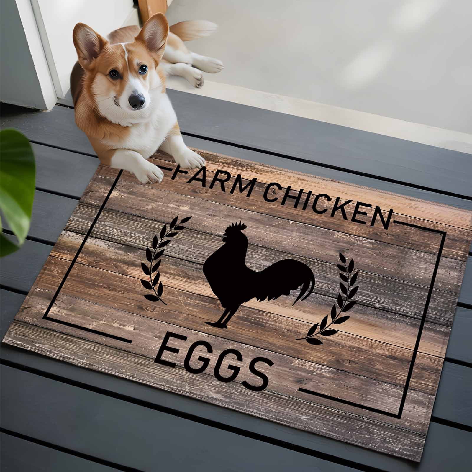 Chicken Eggs Front Door Rugs 2x3 ft Farmhouse Animal Brown Wood Grain ...