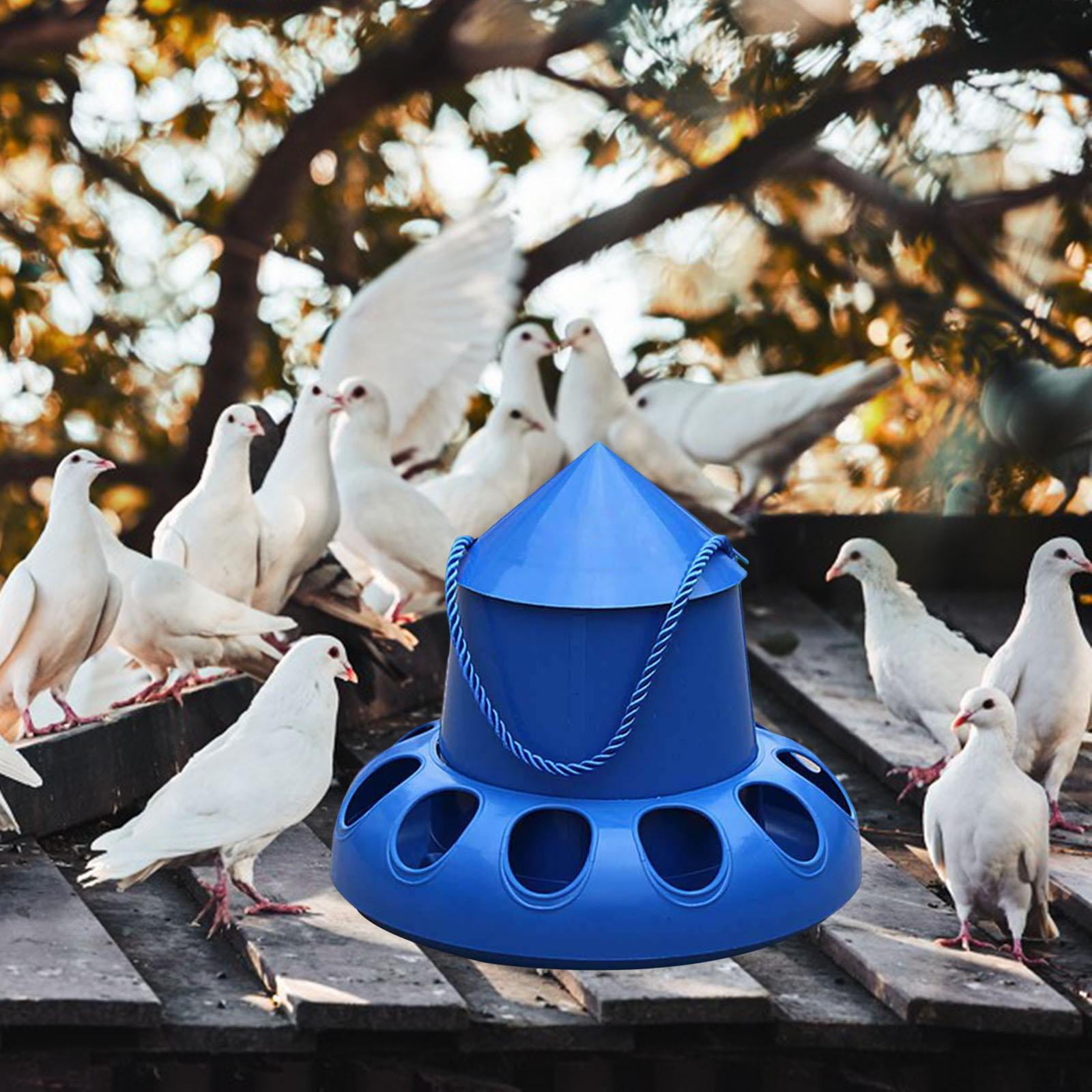 Chicken Feeder Bird Automatic Feeding Bucket Food Dispenser Backyard ...