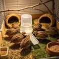 Chicken Feeder Pet accessories Automatic Water Feeder For Quail Chick ...