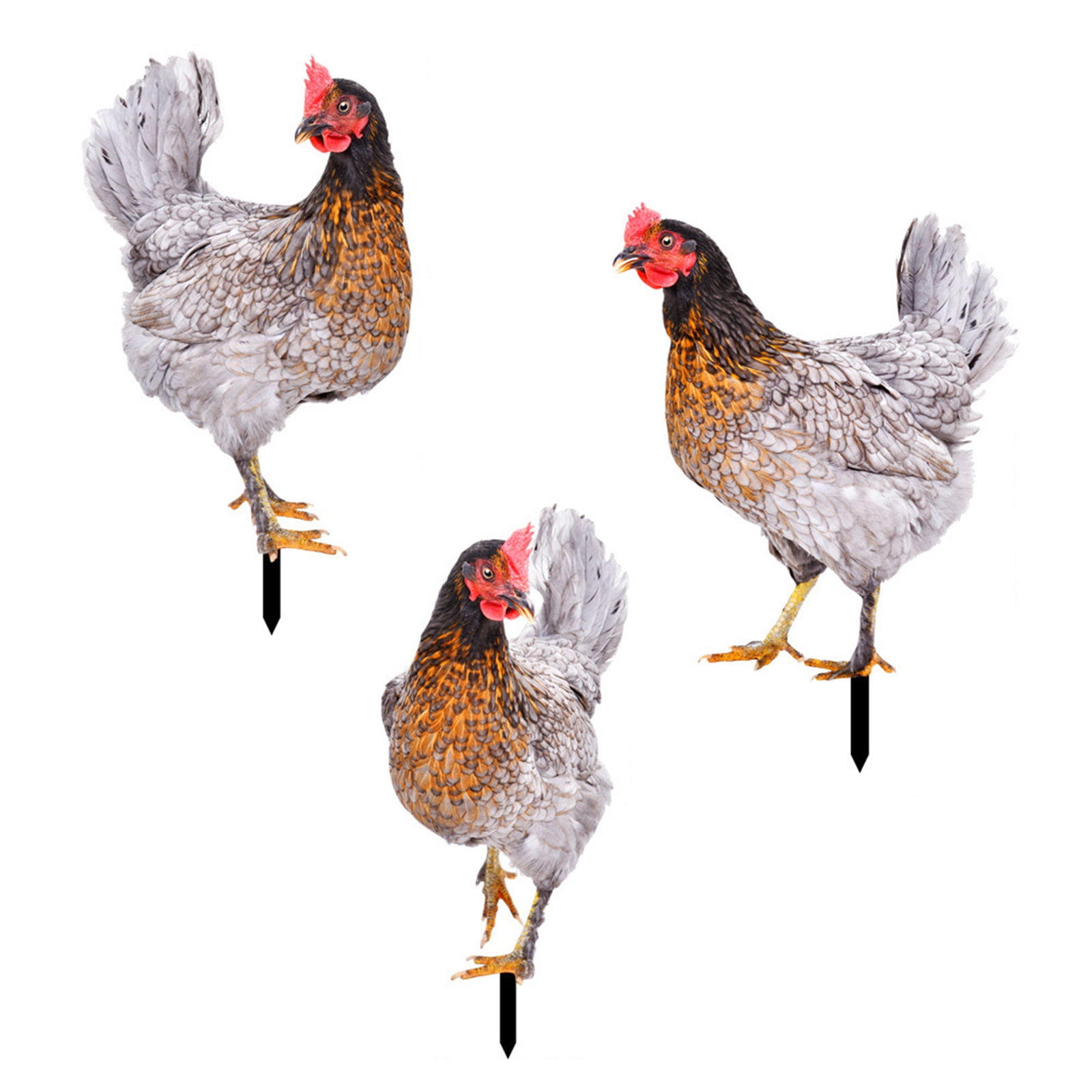 Chicken Garden Stakes Animal Stake Sculpture for Yard Outdoor Lawn ...