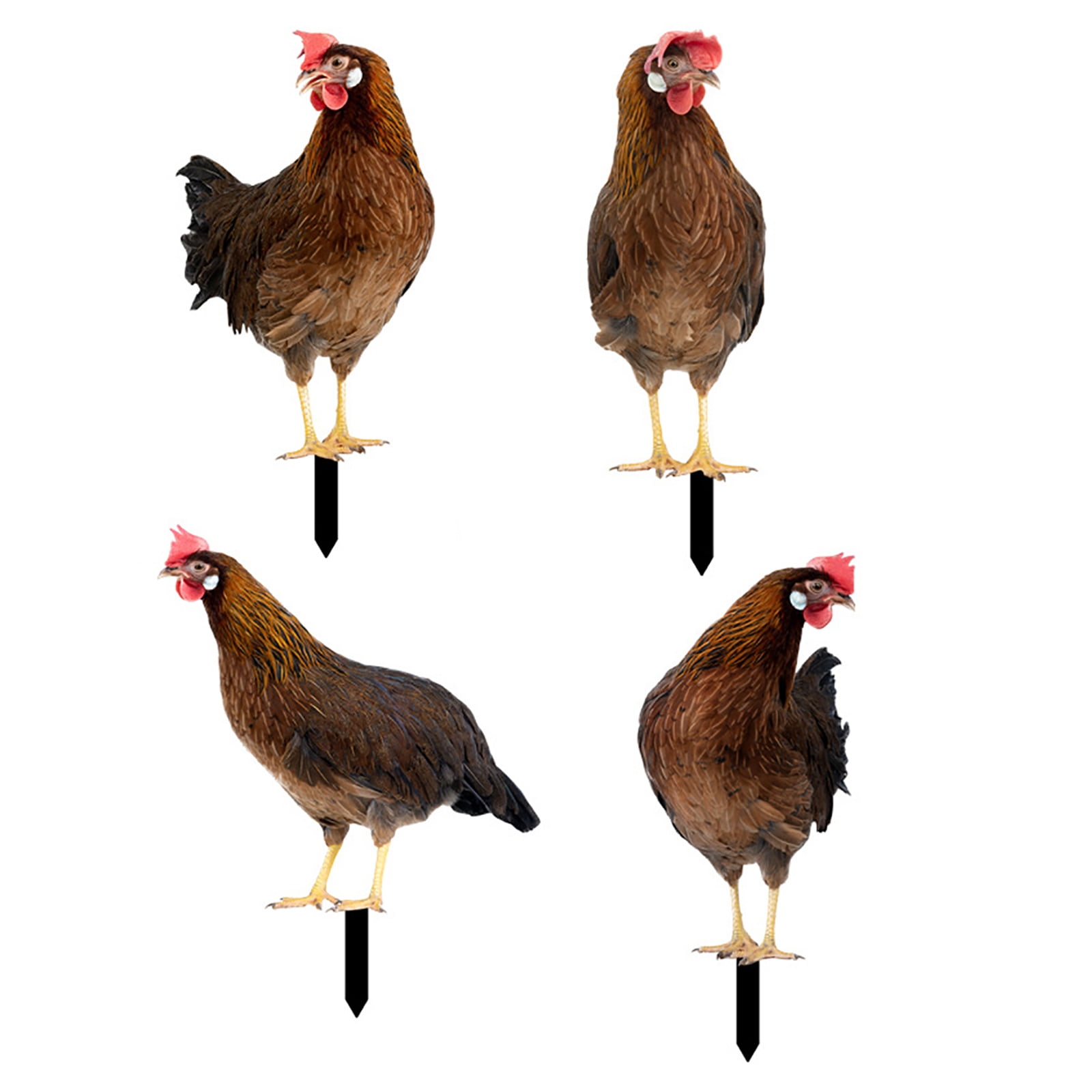Chicken Garden Stakes Ornaments Rooster Hen Insert Signs Outdoor ...