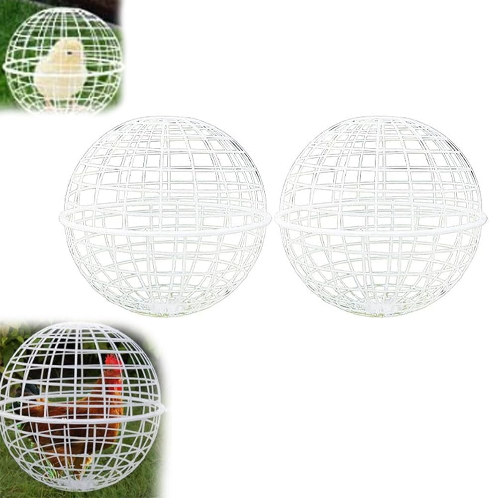 Chicken Globes for Outside Roaming, Movable Chicken Coop Ball- Safe ...