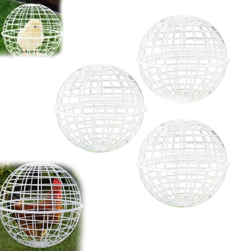 Chicken Globes for Outside Roaming, Movable Chicken Coop Ball- Safe ...