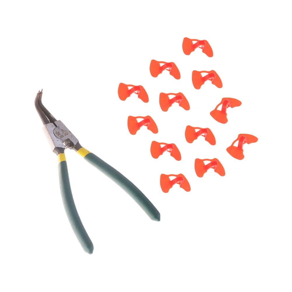 Chicken Goggles Coop Toy Corn Pliers Chicken Glasses Chicken Supplies ...