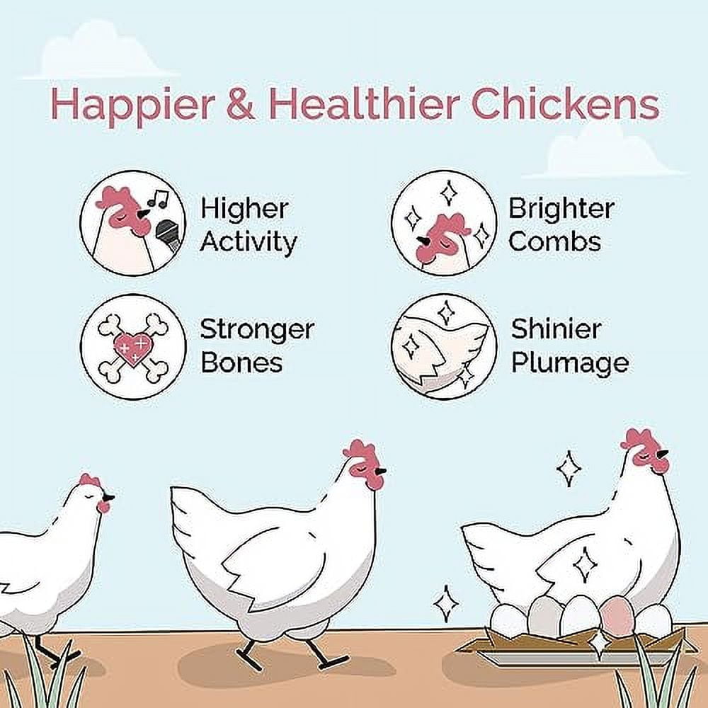 Chicken Grit | Layer & Grower Chickens Age 8-20+ Weeks | 100% Natural ...