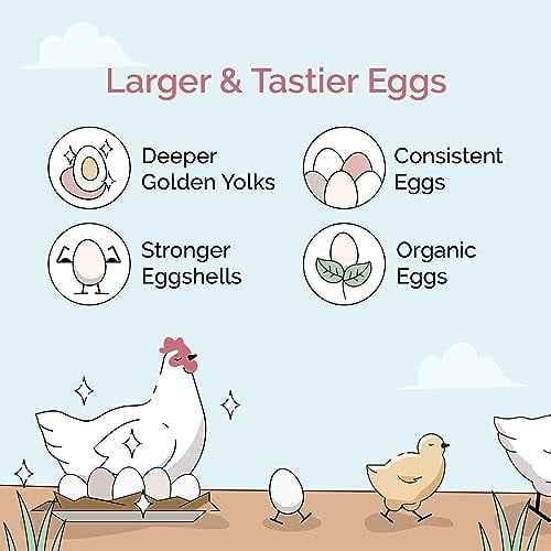 Chicken Grit for Layer & Grower Chickens Age 8-20+ Weeks - 100% Natural ...