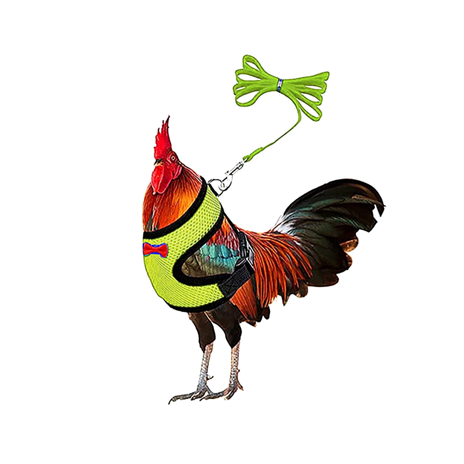 Chicken Harness and Leash Set 3.6 Foot Adjustable Poultry Vest for ...
