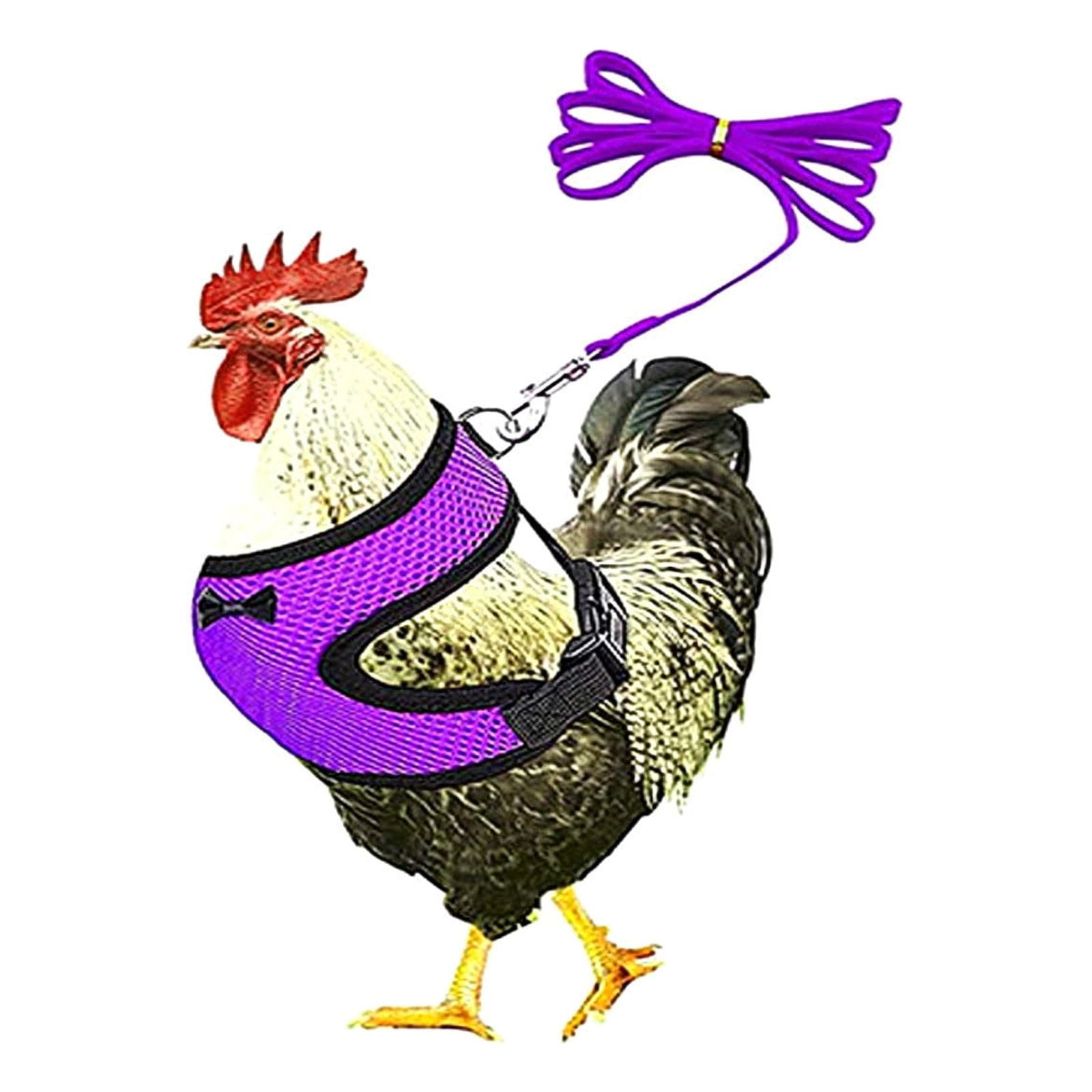 Chicken Harness and Leash Set 3.6 Foot Adjustable Poultry Vest for ...