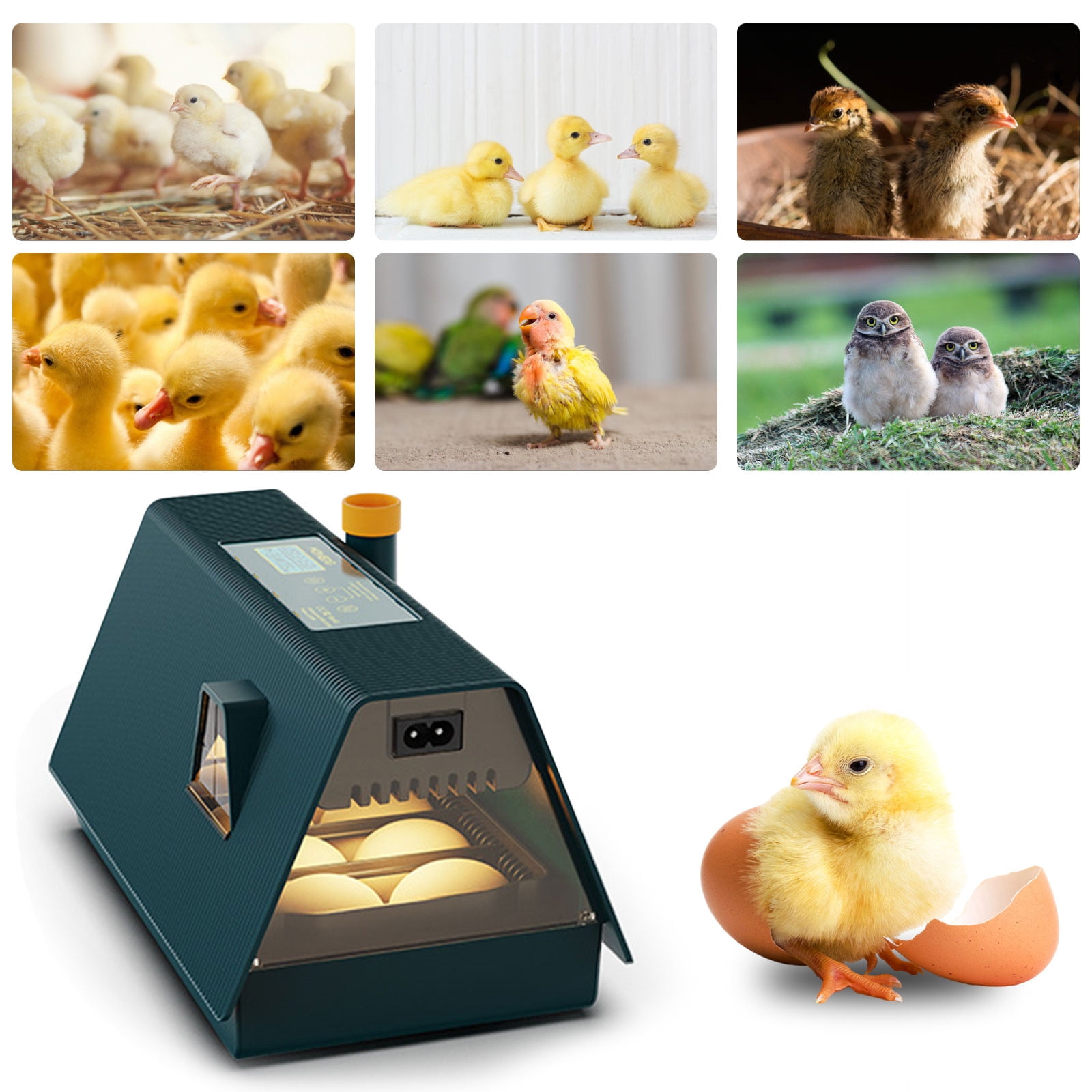 Chicken Hatching Machine for Hatching Machine with Automatic Turning ...