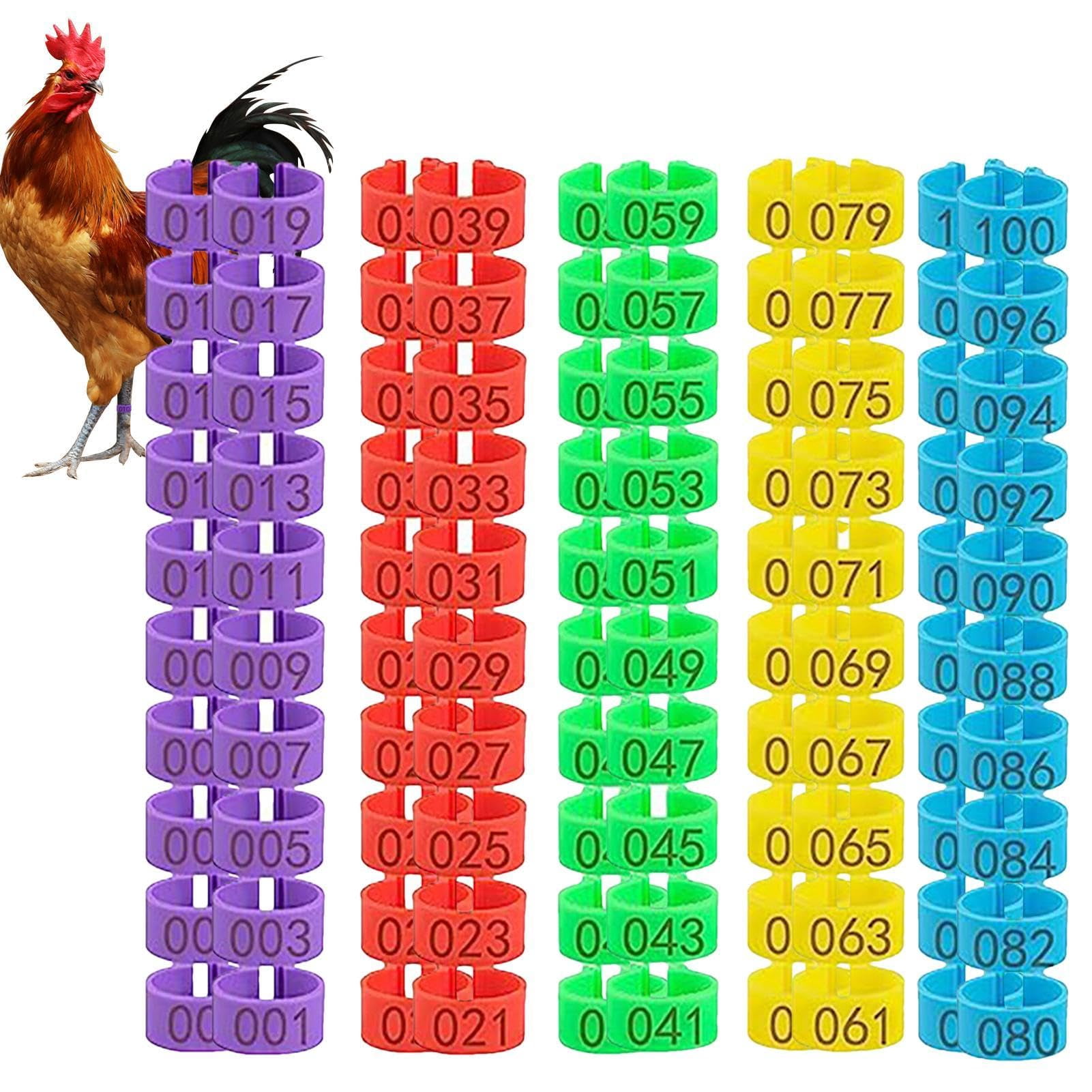 Chicken Identification Band - Clip-On Band Tags Numbered Leg Rings for ...