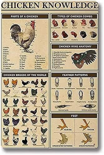 Chicken Knowledge Chicken Breeds of The World Infographics Vintage ...