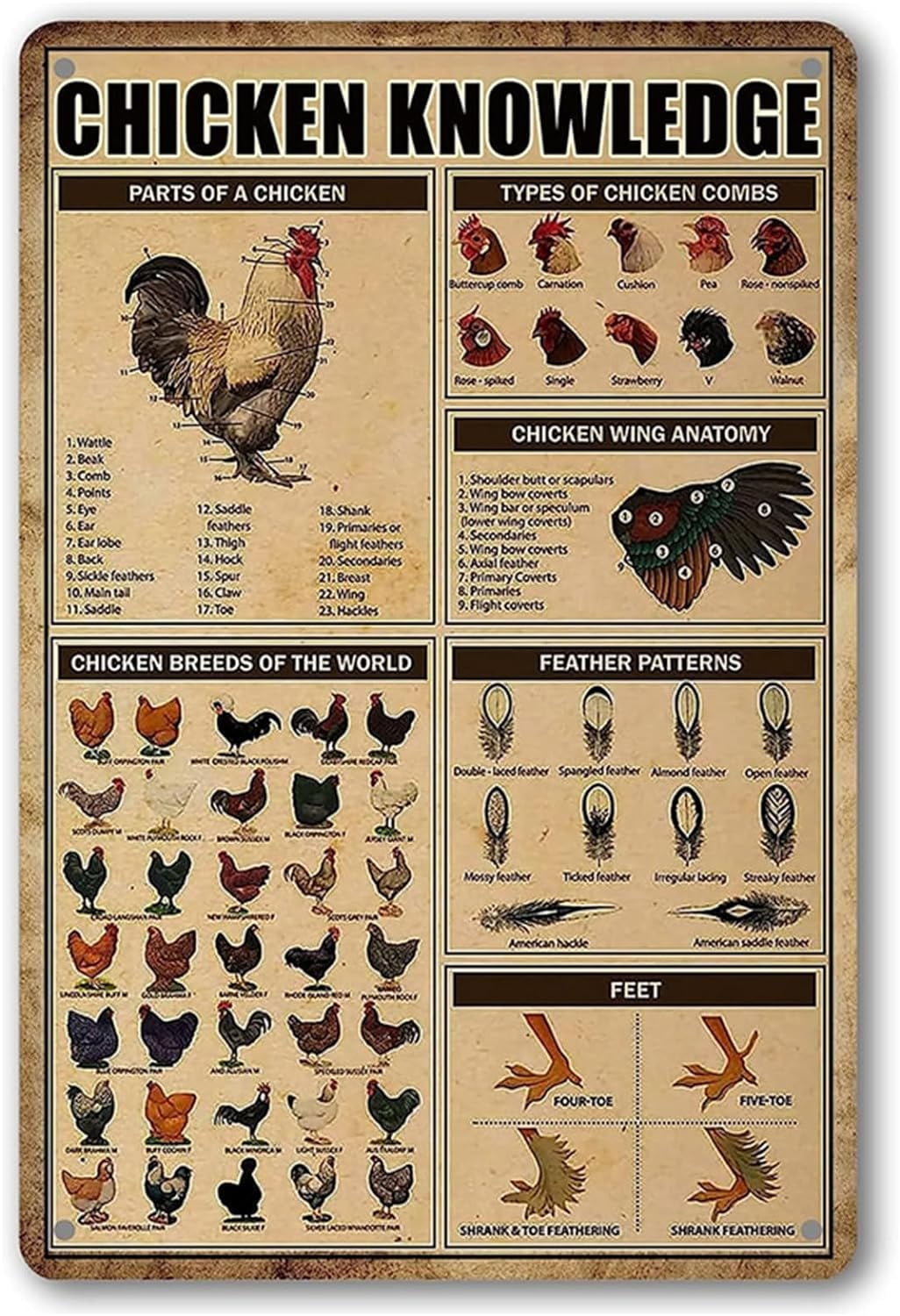 Chicken Knowledge Metal Sign Chicken Coop Tin Signs Wall Decor Breeds ...
