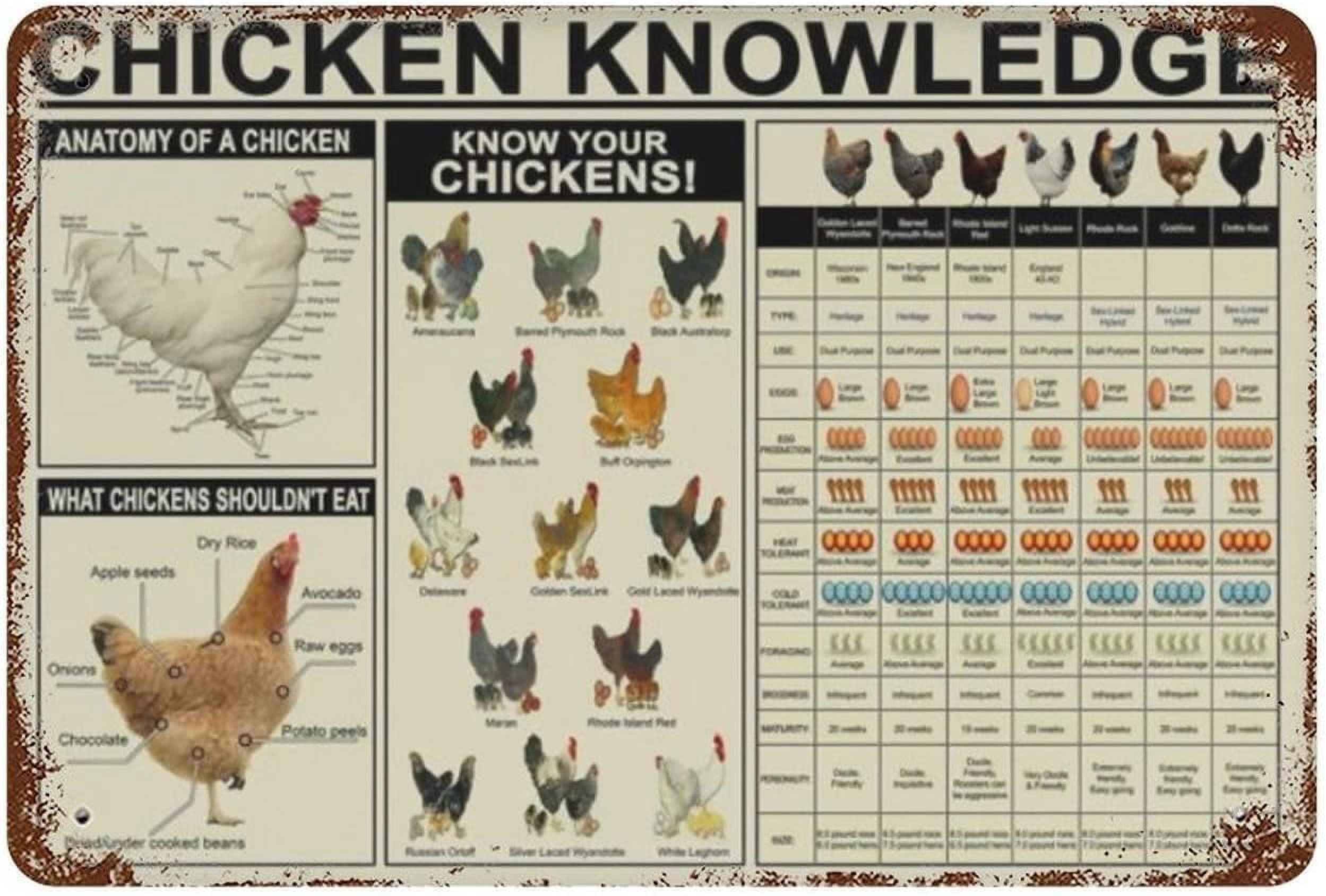 Chicken Knowledge Metal Tin Signs Vintage Know Your Chickens Poster ...