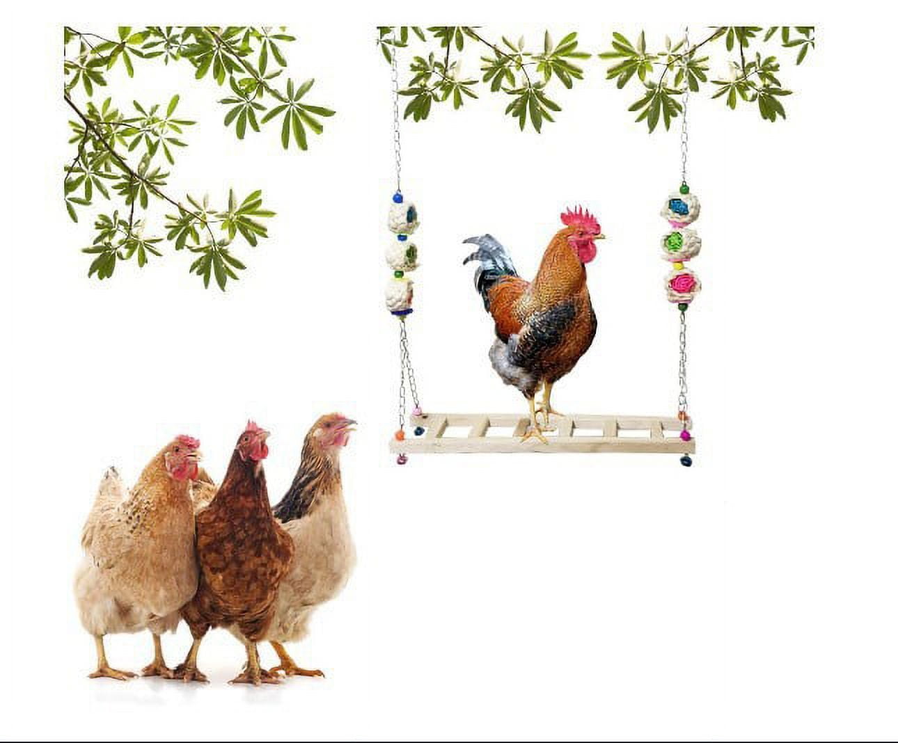 Chicken Ladder Wood Stand Chicken Toy Swing Toys for Chicks Rooster ...