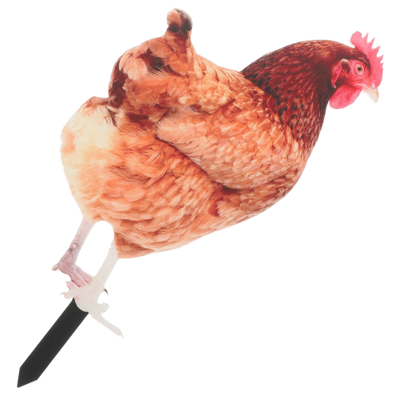 Chicken Lawn Art Garden Solar Lights Outdoor Hen Place Card - Walmart.com