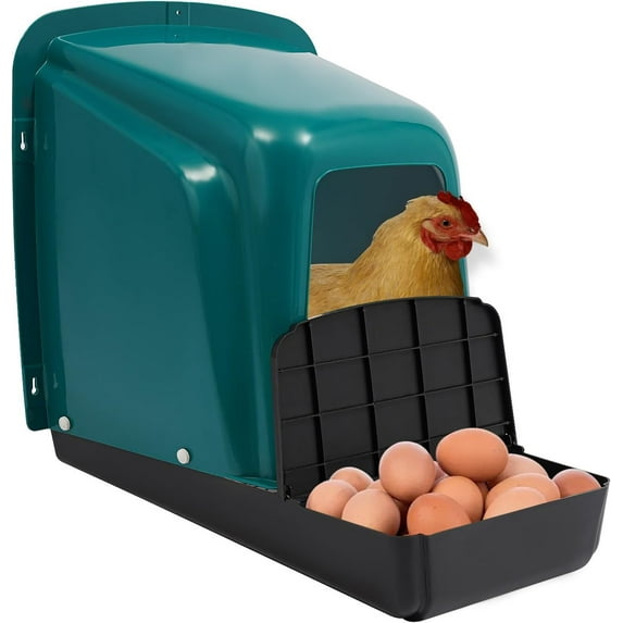 Chicken Laying Boxes, 5 Pack Roll Away Chicken Nesting Boxes, Durable ...