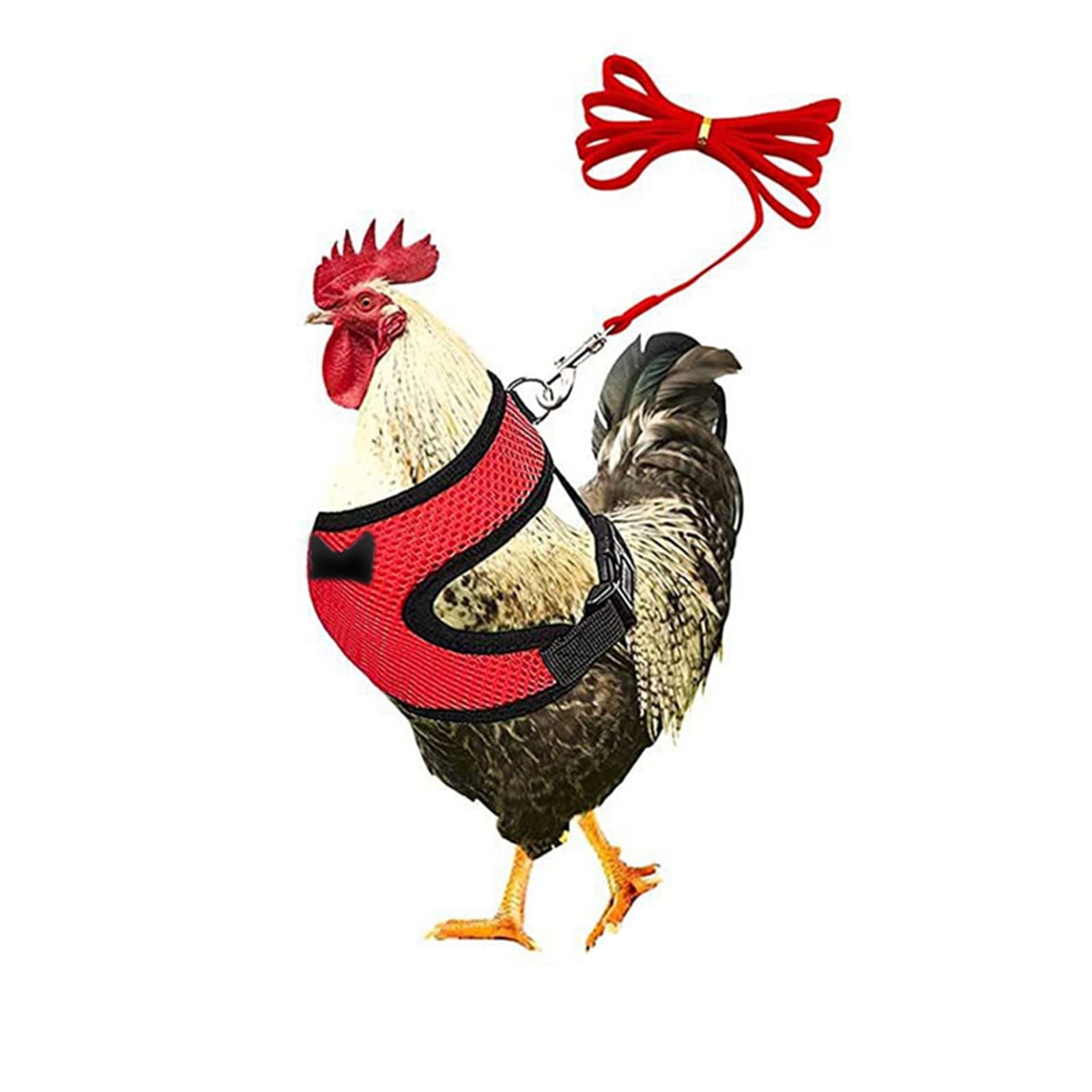 Chicken Leash,Chicken Leash Pet Chicken Leash Pet Leash,Breathable ...