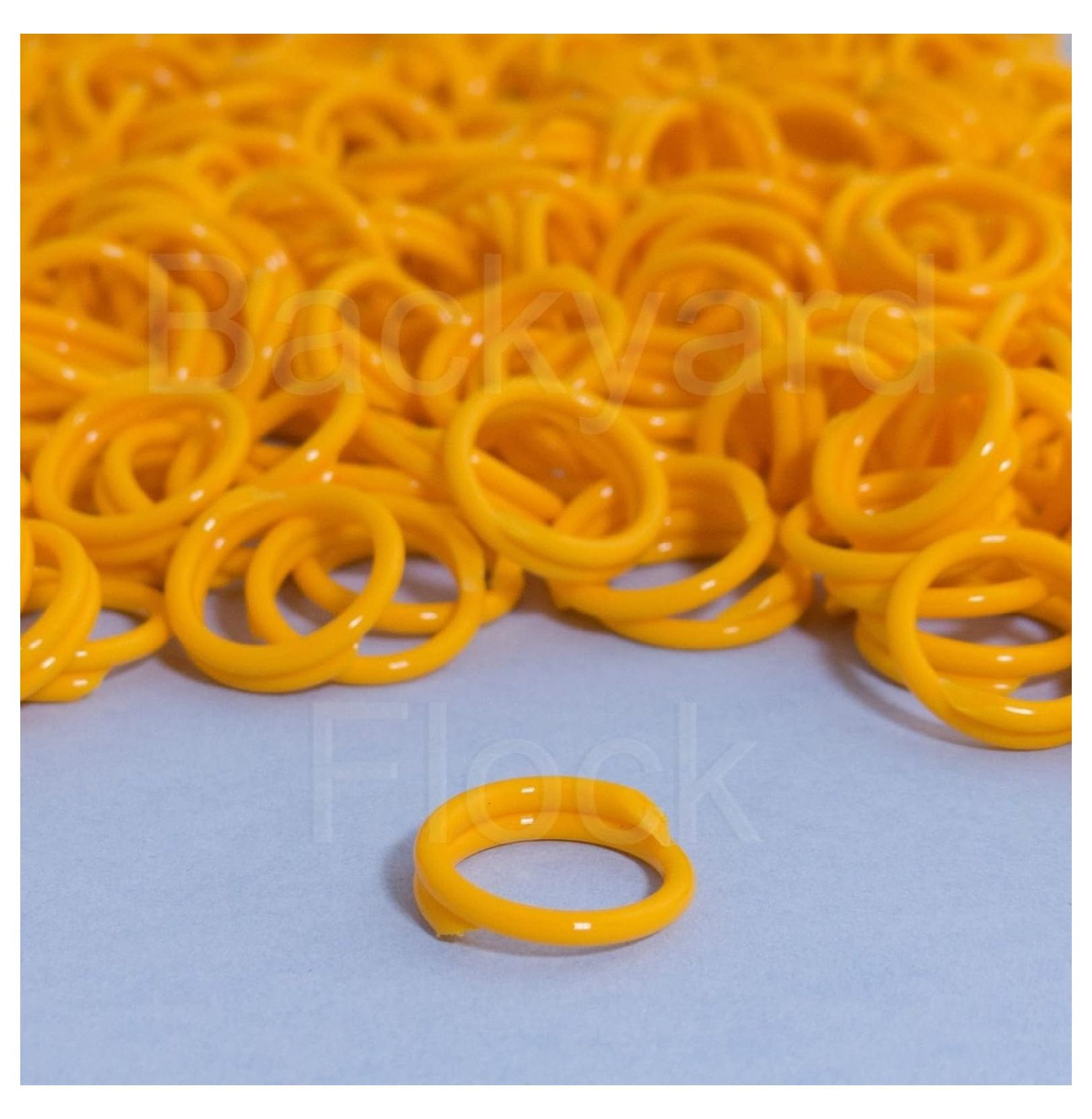 Chicken Leg Bands 100 Pack - #11 11/16" Spiral Poultry Rings - Yellow ...