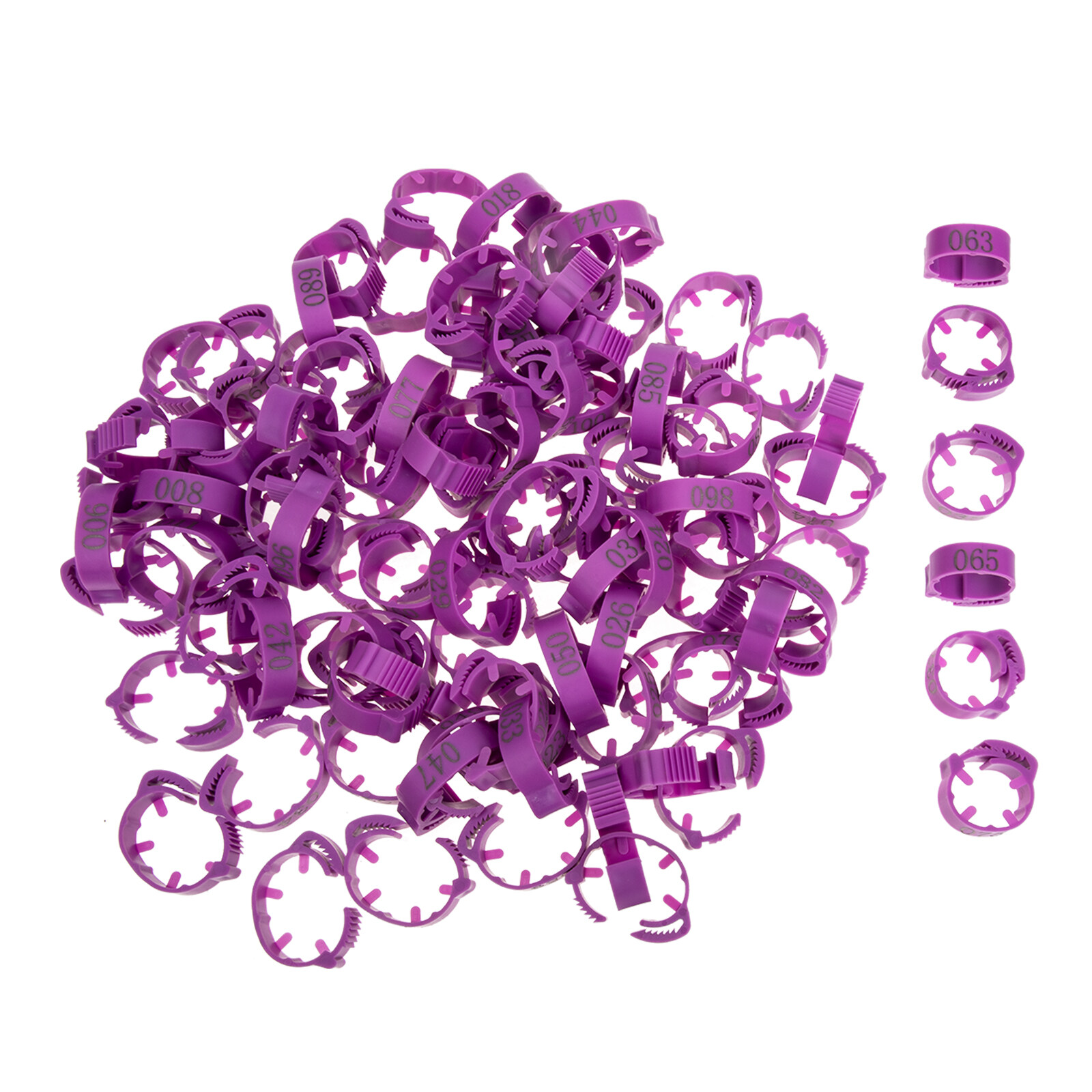 ifundom Spiral Leg Bands For Chickens Plastic Purple For Poultry ...