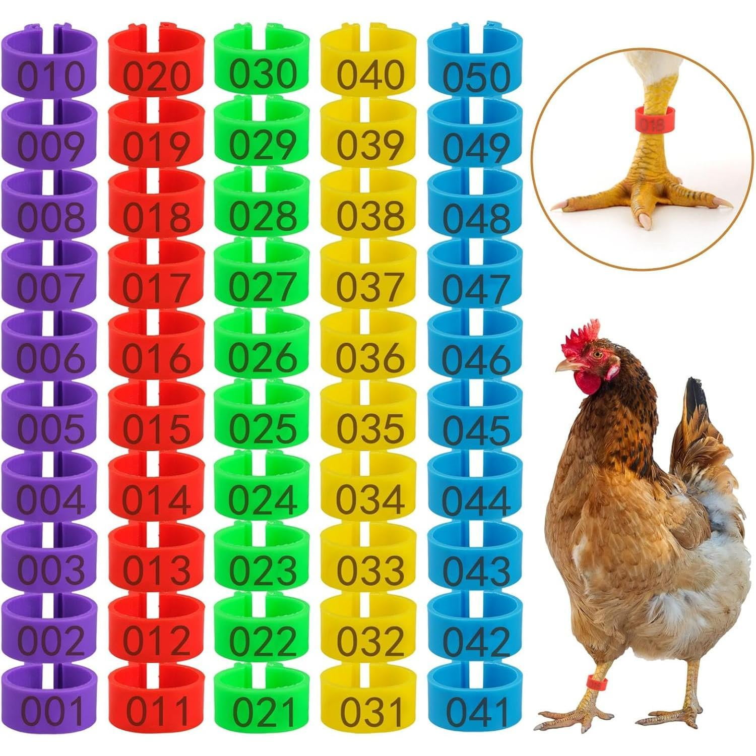Chicken Leg Rings, 100pcs Colorful 16mm Poultry Foot Rings with 5 ...